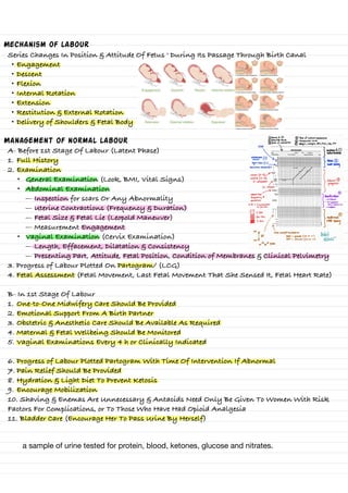 Normal labour (Obstetrics and gynaecology).pdf