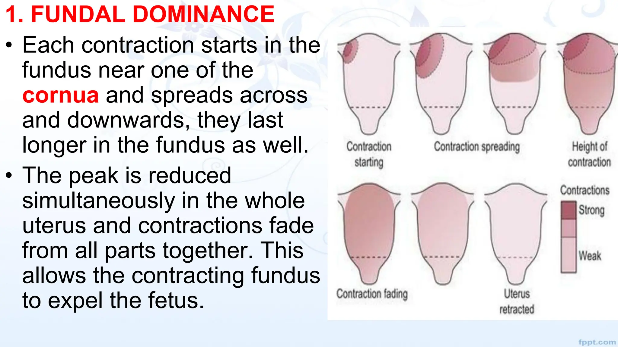 NORMAL_LABOUR_-_integrated reproductive health | PPT