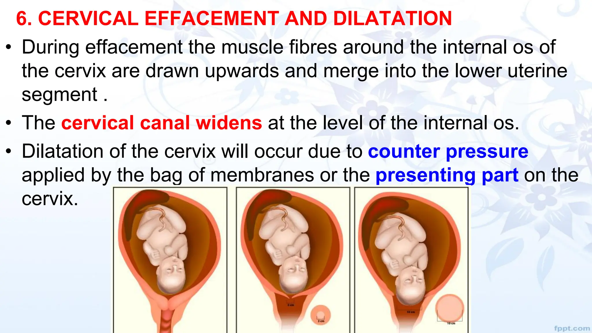 NORMAL_LABOUR_-Nurses Class Presentation.pdf
