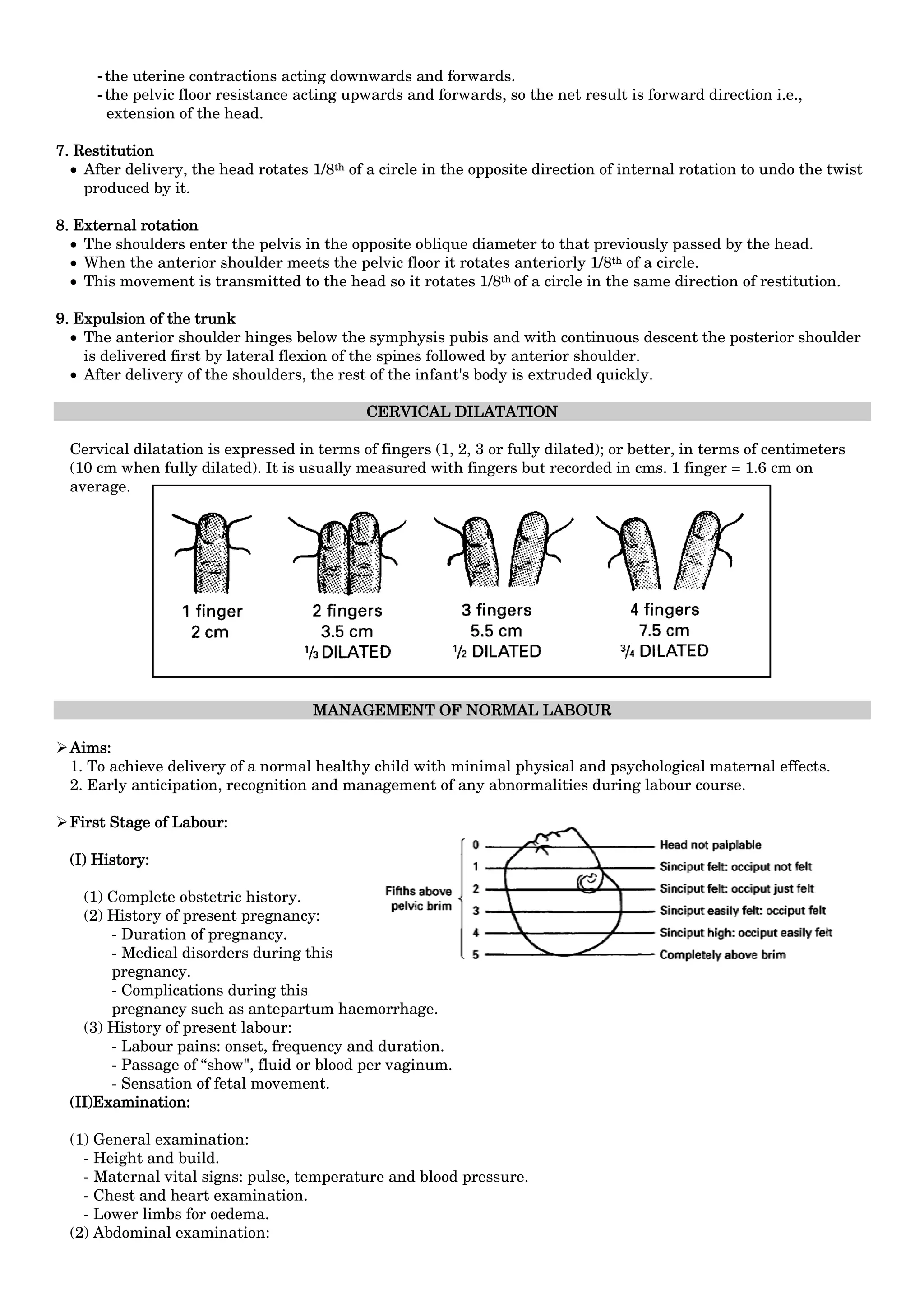 NORMAL LABOUR | PDF