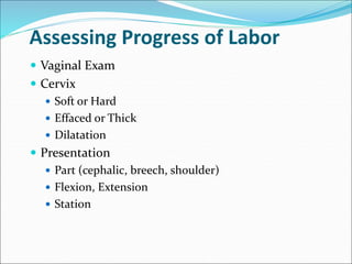 Normal labour (2) | PPT