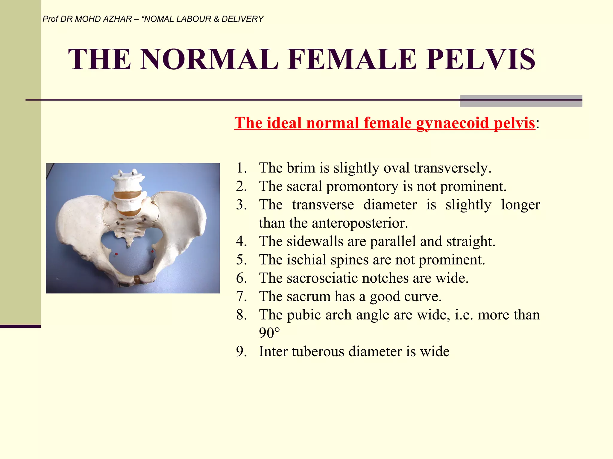 Normal labour and delivery | PPT