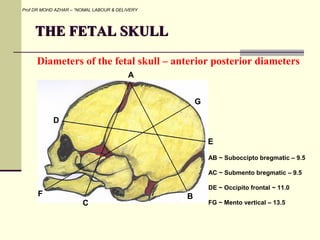 Normal labour and delivery | PPT