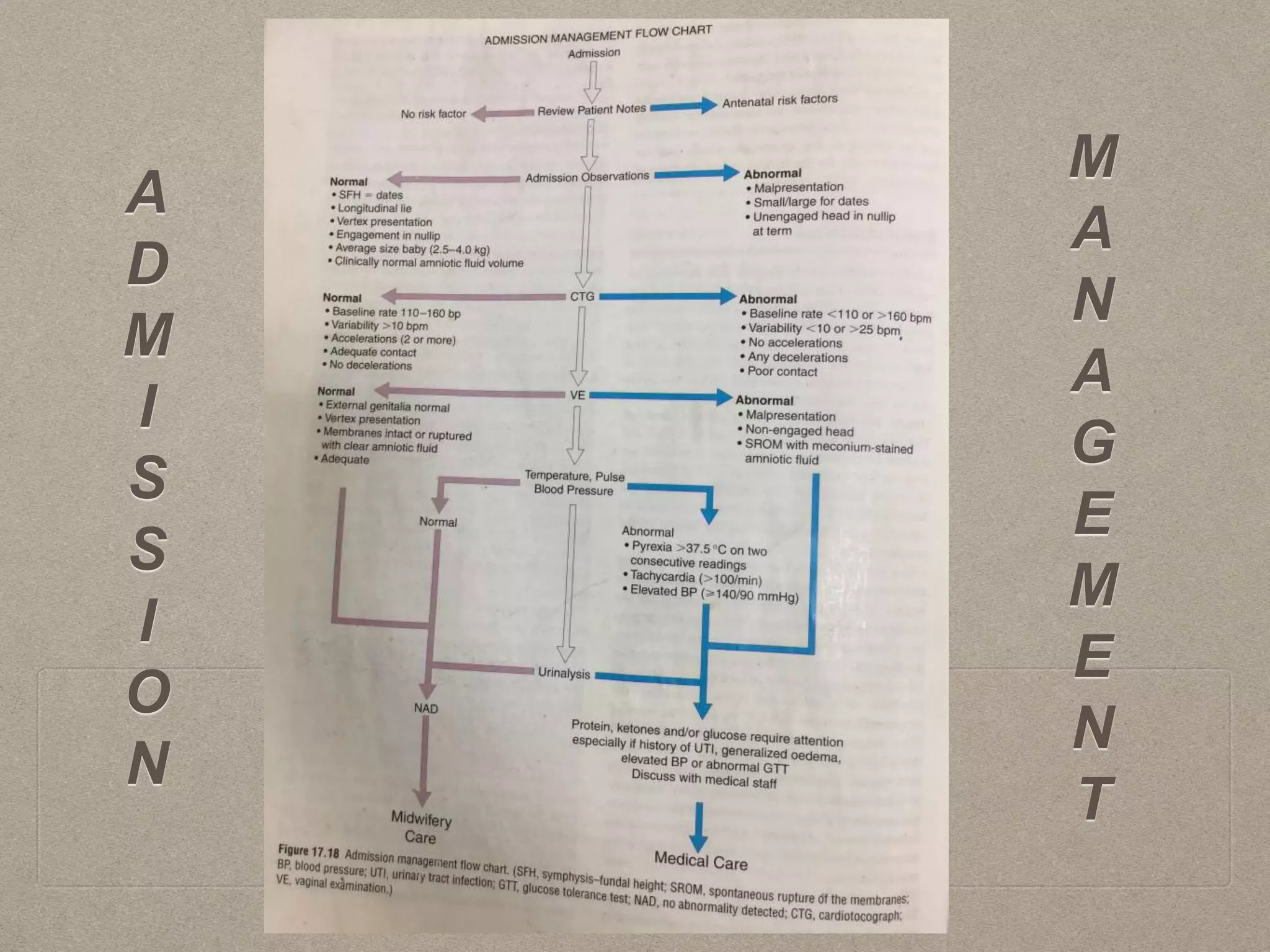 Normal labour and delivery ppt | PPTX