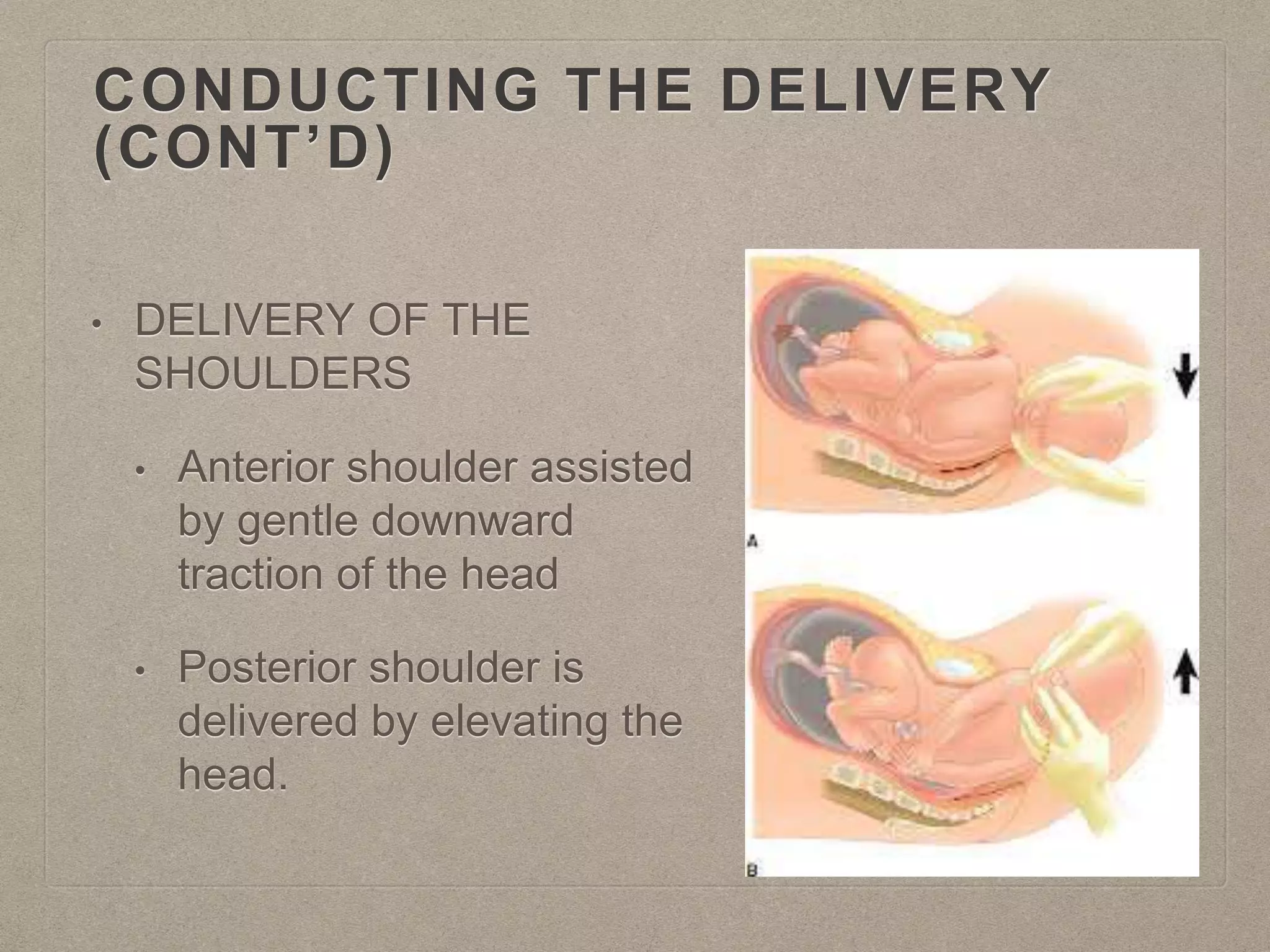 Normal labour and delivery ppt | PPTX
