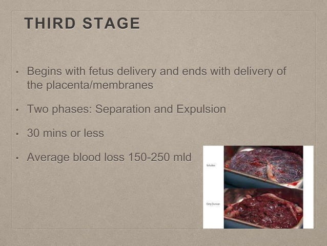 Normal labour and delivery ppt | PPTX | Pregnancy | Reproductive Health