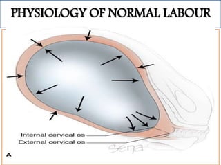 Normal labour and physiology of normal labour | PPTX