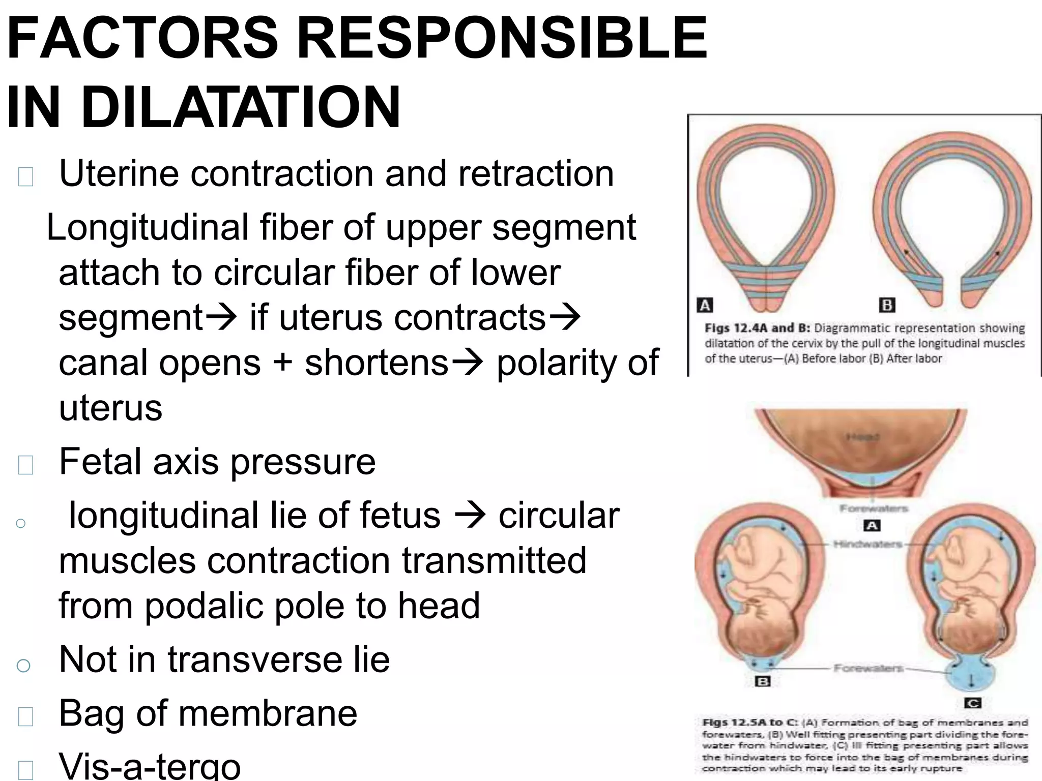 Normal labour and its physiology | PPTX