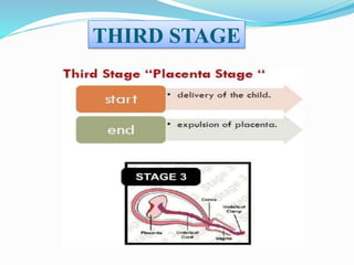 Normal labour and management | PPTX