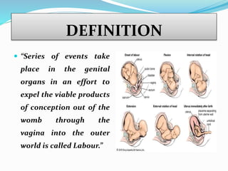 Normal labour and management | PPTX
