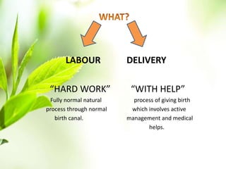 Normal labour and management | PPTX