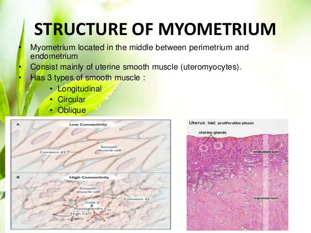 Normal labour and management