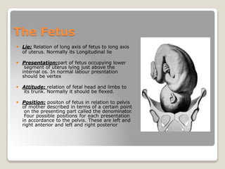 Normal Labour and Mechanism and occuranc | PPTX