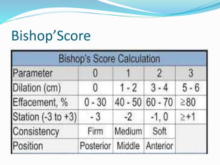 Normal labour [autosaved] | PPT