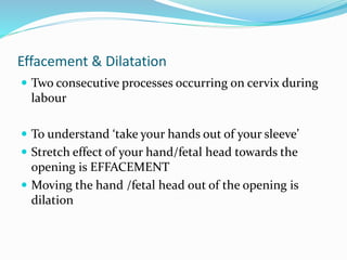 Normal labour [autosaved] | PPT