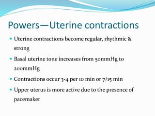 Normal labour [autosaved] | PPT