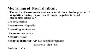 NORMAL LABOUR by dr surya pratap.pptx