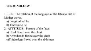 NORMAL LABOUR by dr surya pratap.pptx | Pregnancy | Reproductive Health