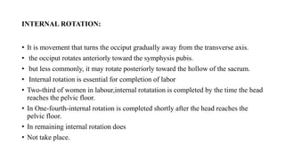 NORMAL LABOUR by dr surya pratap.pptx | Pregnancy | Reproductive Health