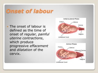 Normal labour by Dr shehr bano | PPTX
