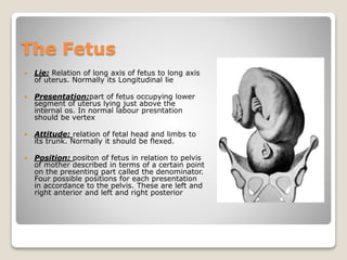 Normal labour by Dr shehr bano | PPTX