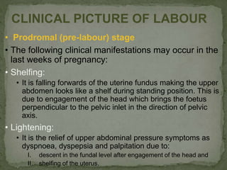 Normal labour by syed hassnain shah | PPT | Free download