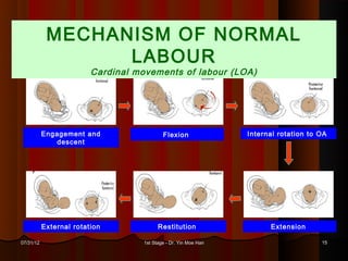 Normal labour, first stage by Yin Moe | PPT