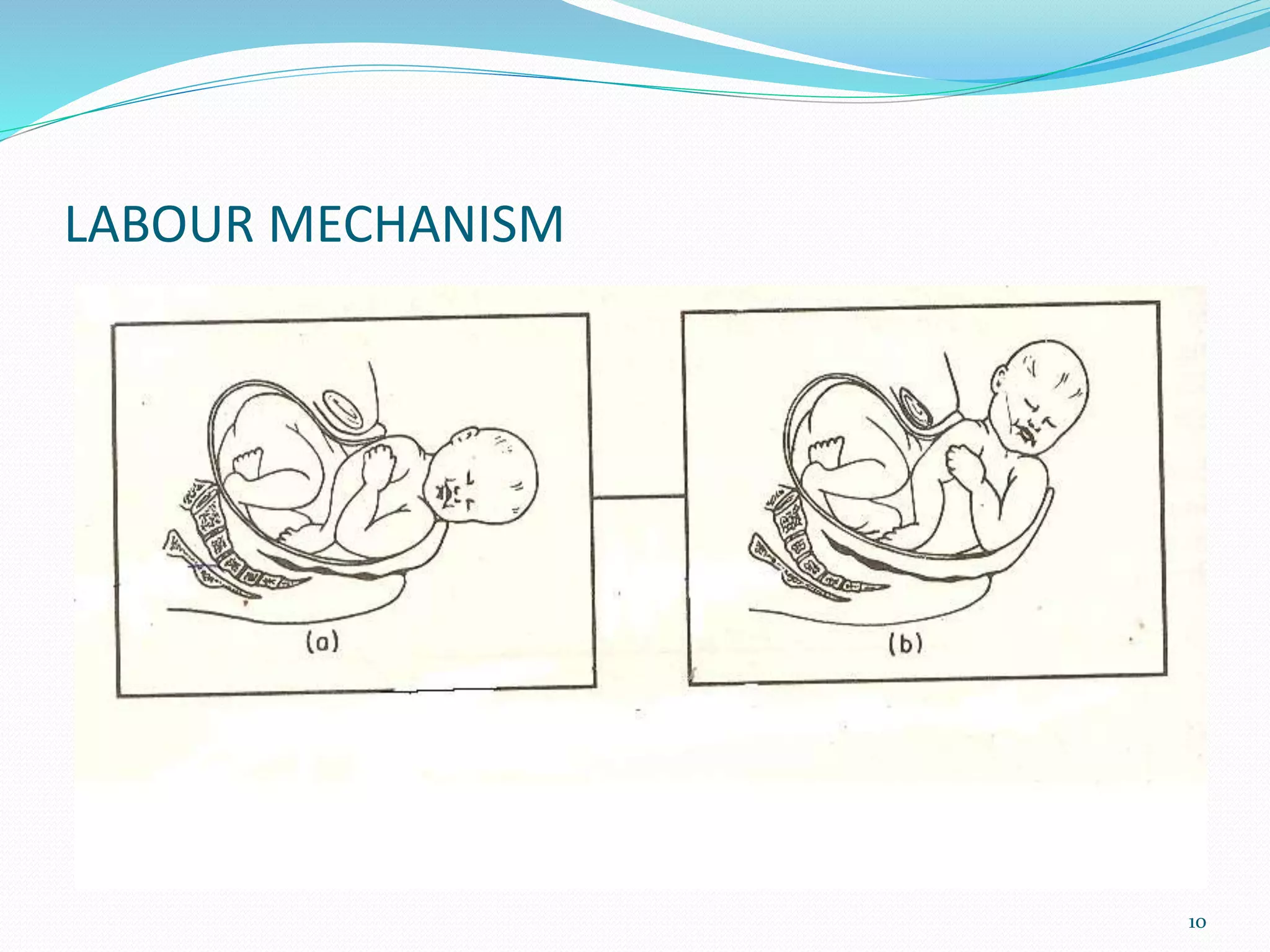 Normal labour intro | PPTX