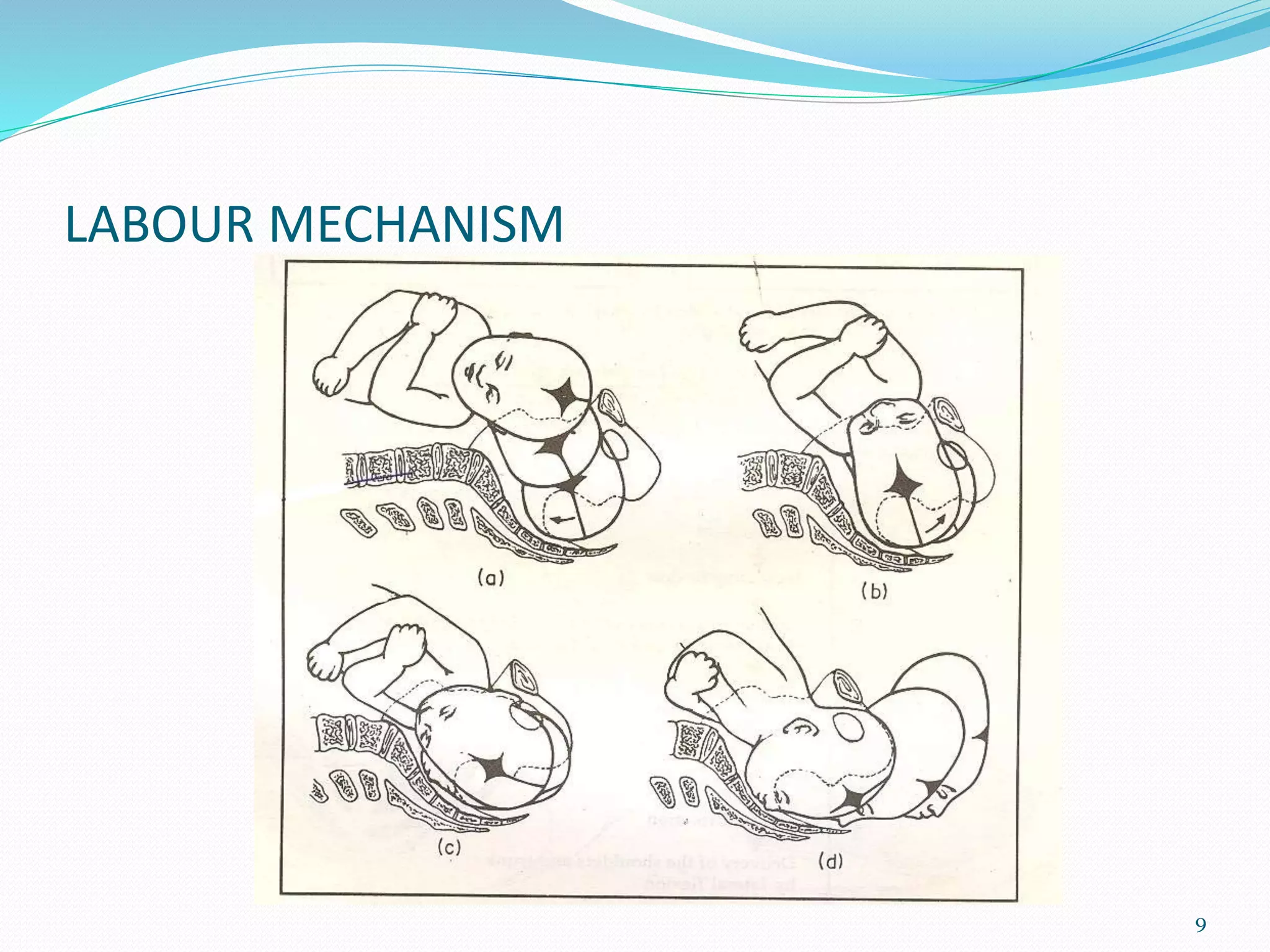 Normal labour intro | PPTX