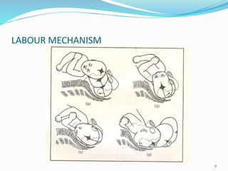 Normal labour intro | PPTX