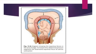 Normal labour intro | PPTX