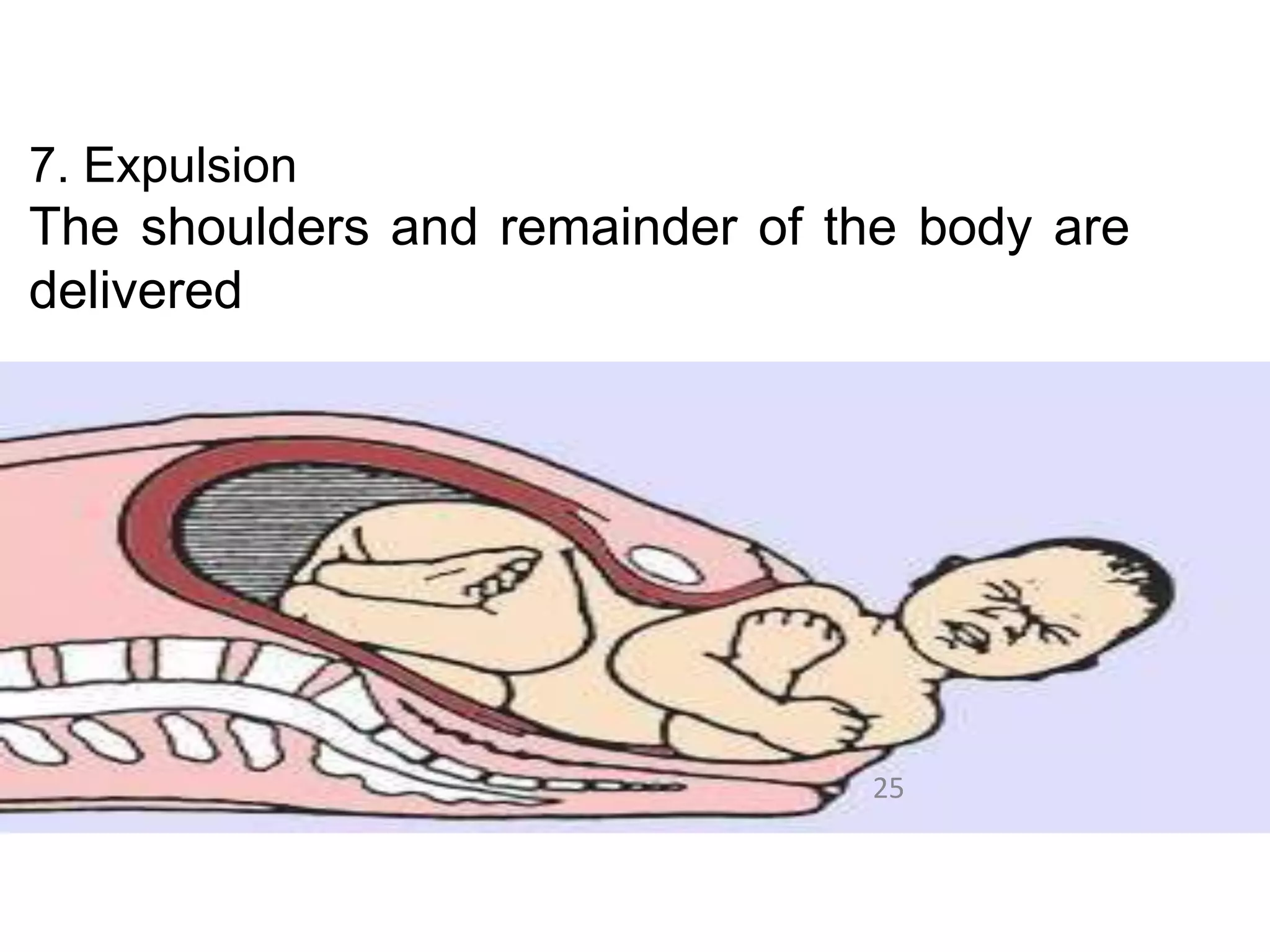NORMAL LABOUR& Mechanism.pptx