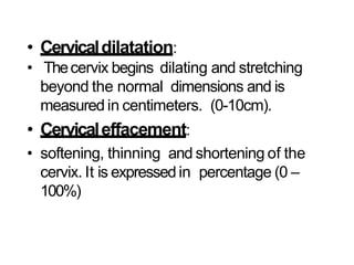 NORMAL LABOUR& Mechanism.pptx