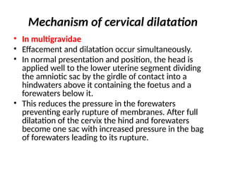 NORMAL LABOUR, MECHANISMS OF LABOUR.pptx