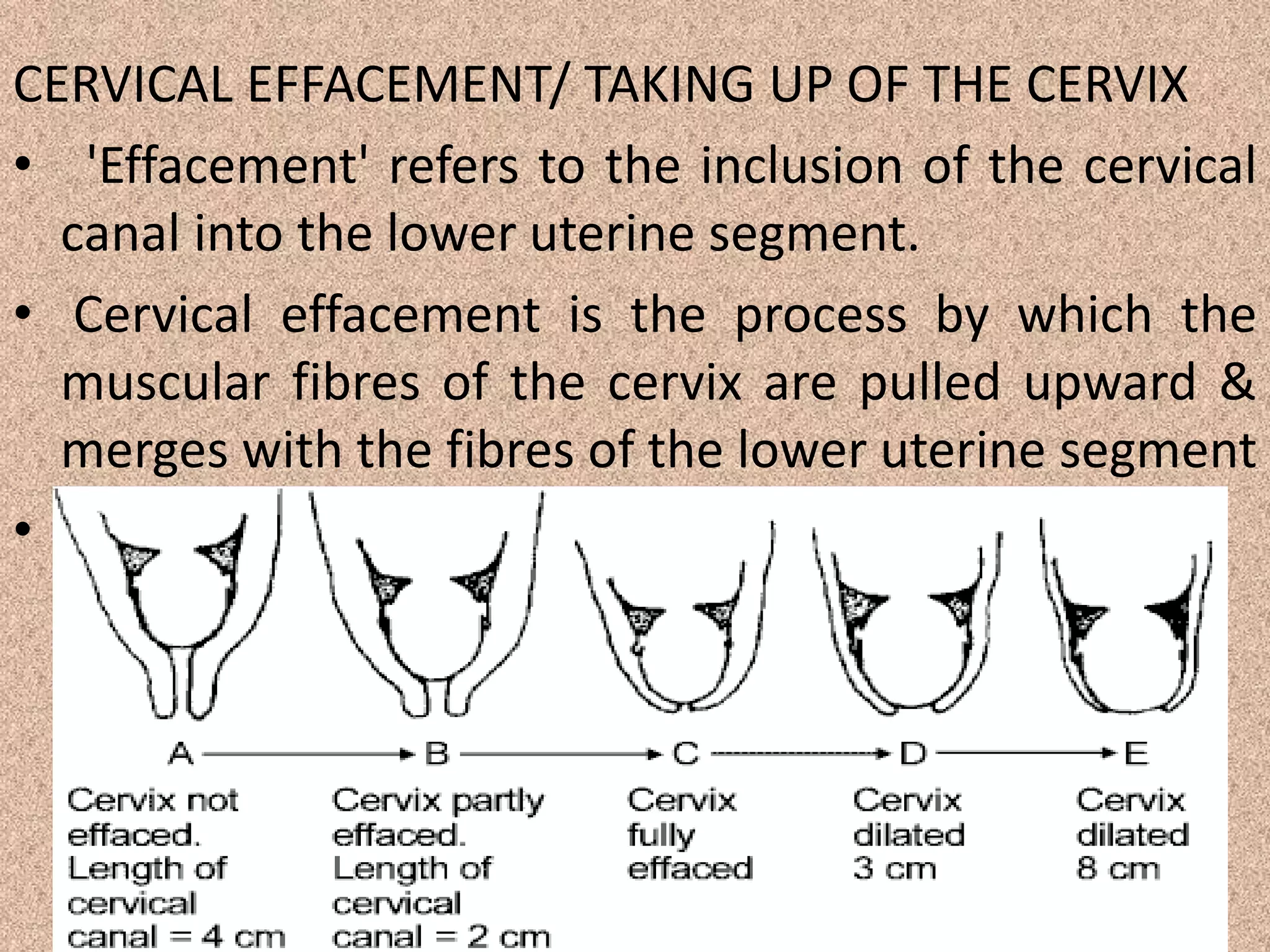 Normal Labour & Nursing Management of First stage of Labour | PPTX