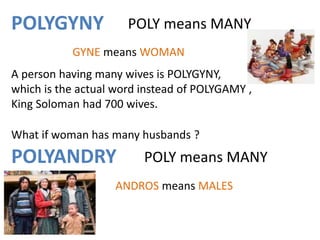 Normal lewis : words to understand | PPT