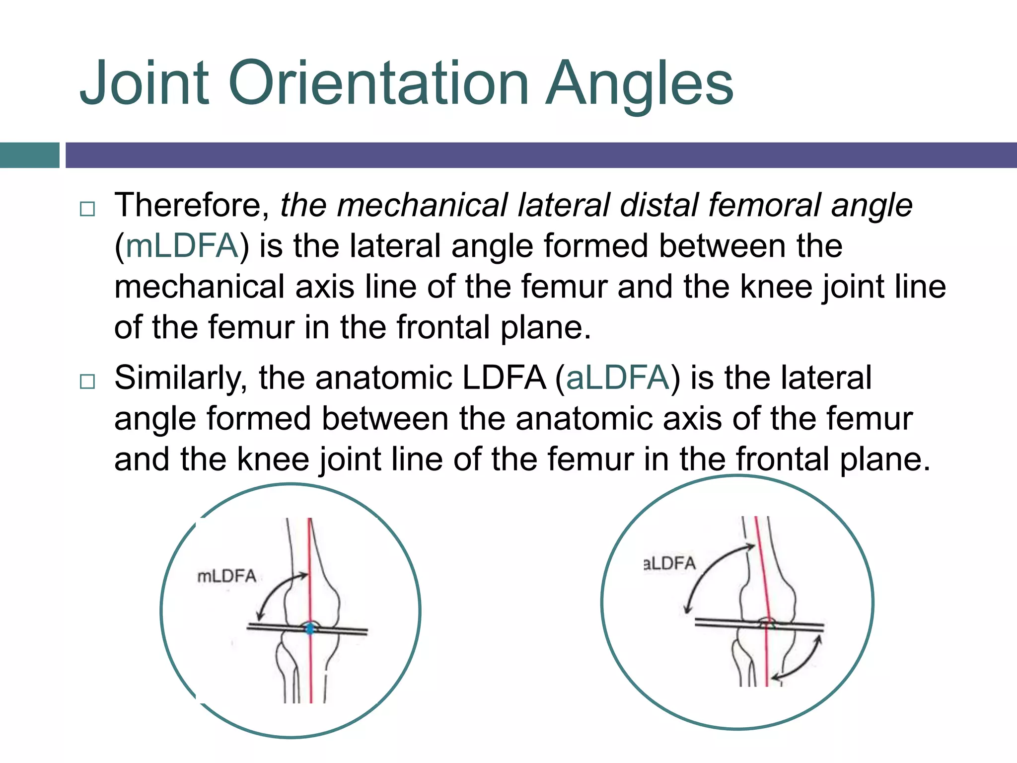 Normal limb alignment | PPTX