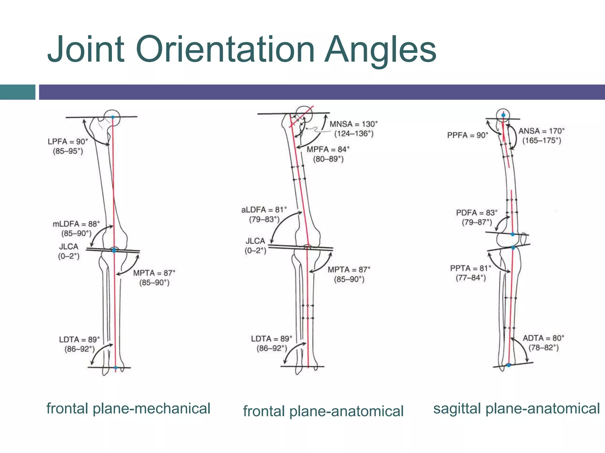 Normal limb alignment | PPTX