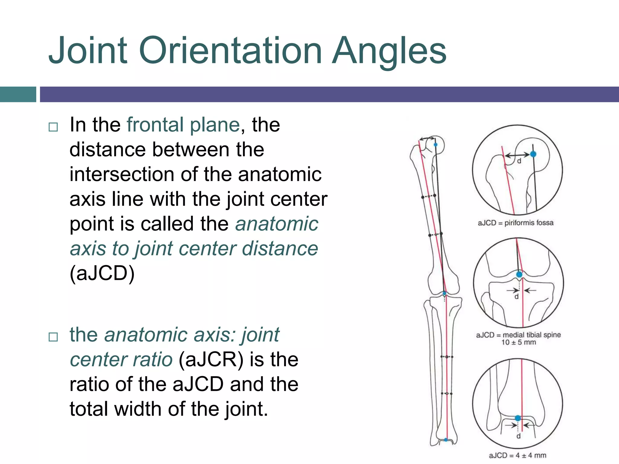 Normal limb alignment | PPTX