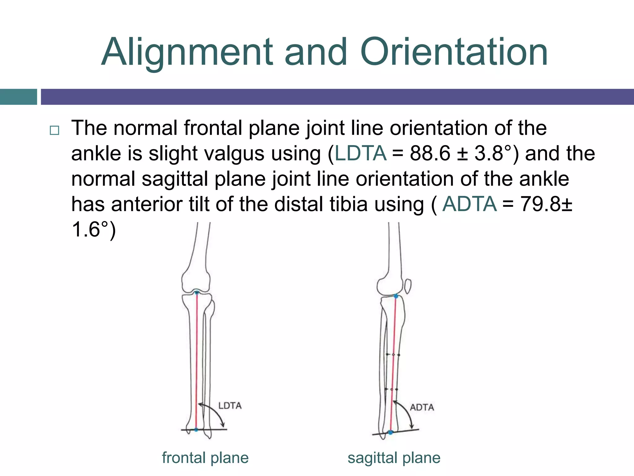 Normal limb alignment | PPTX