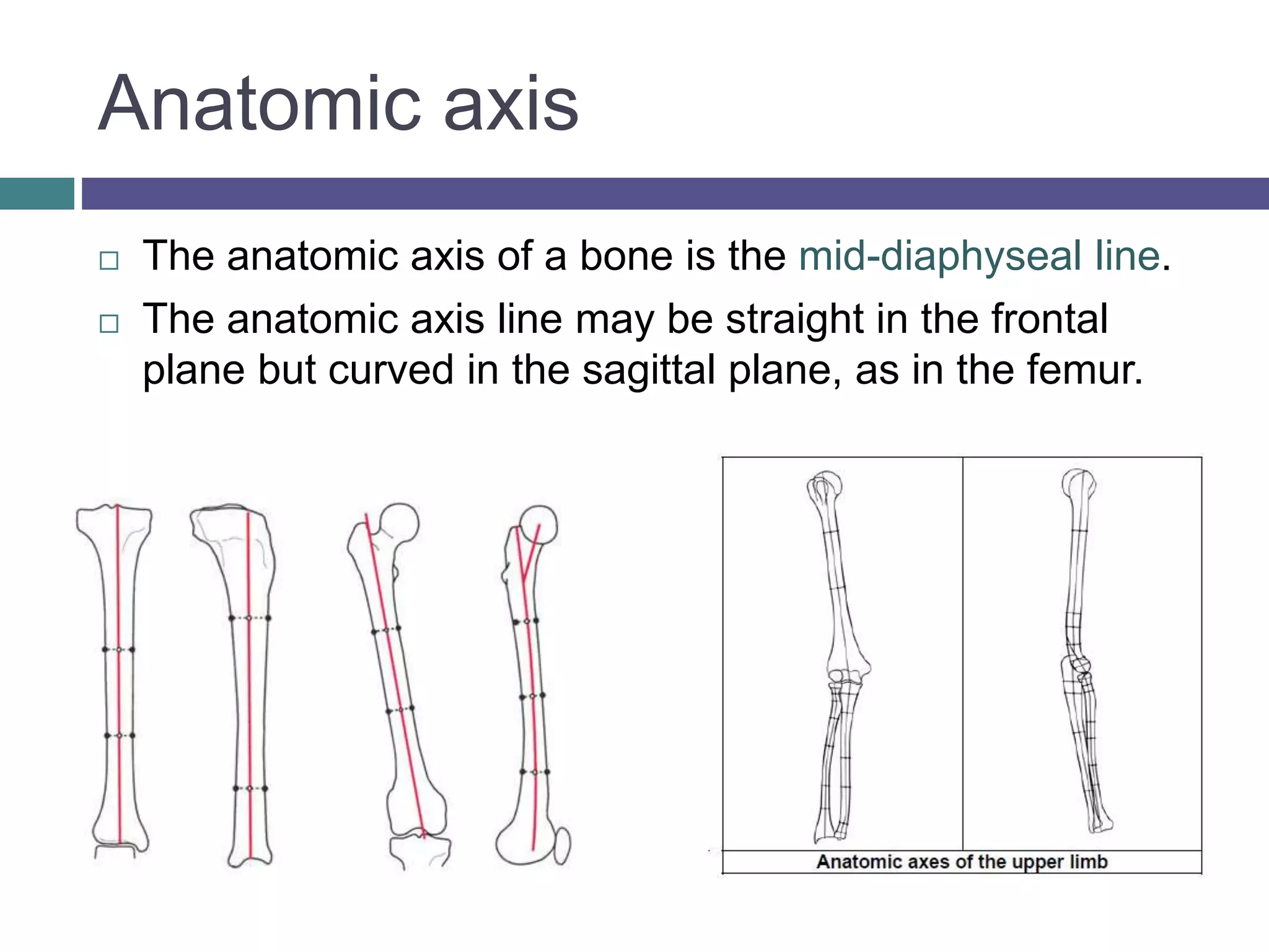 Normal limb alignment | PPTX