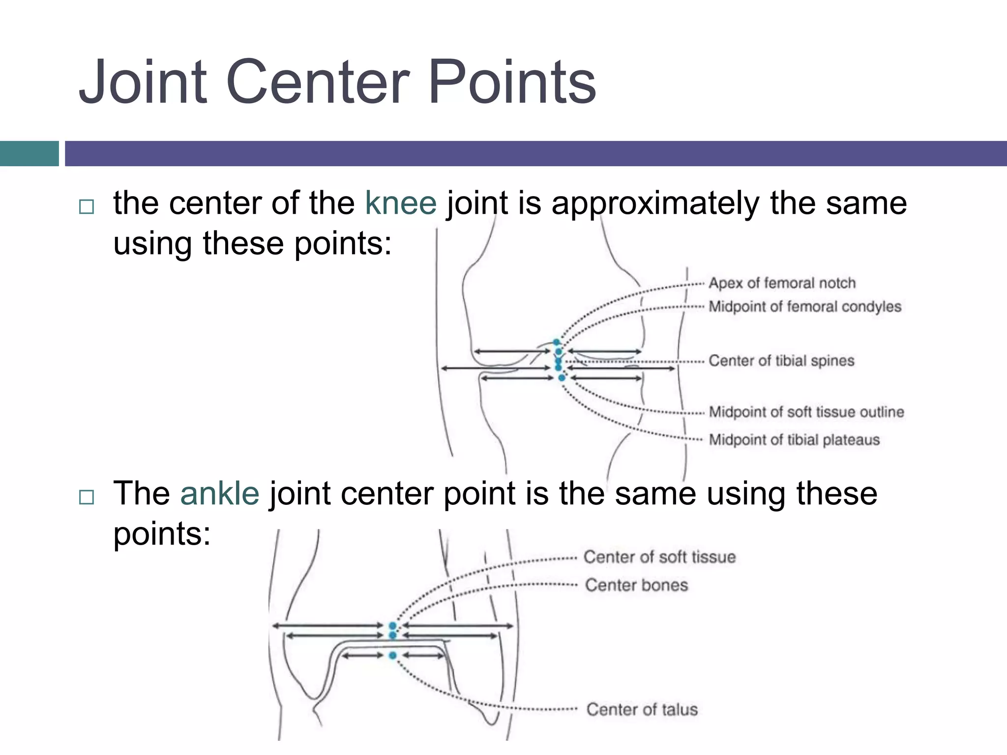 Normal limb alignment | PPTX