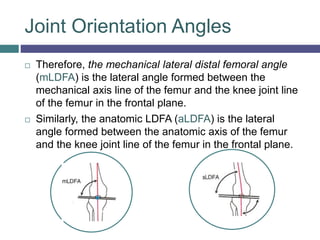 Normal limb alignment | PPTX