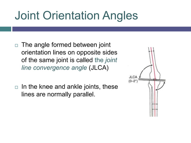 Normal limb alignment | PPTX | Death, Injury, or Military Conflict ...