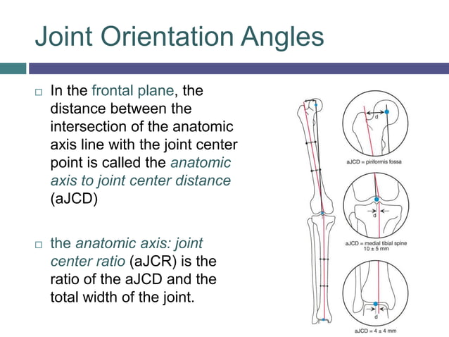 Normal limb alignment | PPTX | Death, Injury, or Military Conflict ...