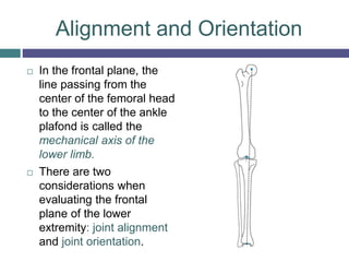 Normal limb alignment | PPTX
