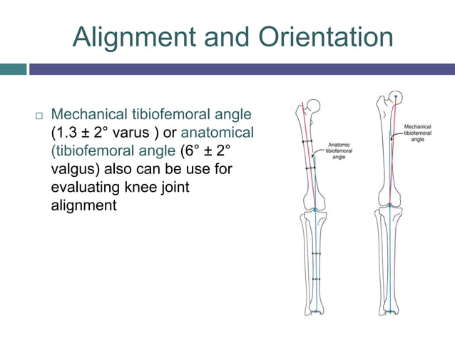 Normal limb alignment | PPTX | Death, Injury, or Military Conflict | Sensitive Topics