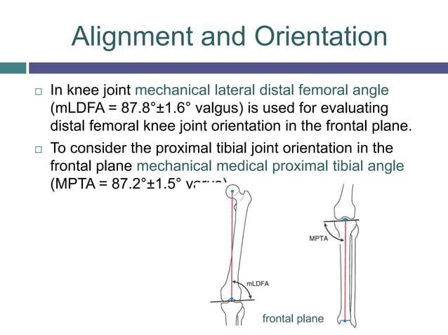 Normal limb alignment | PPTX | Death, Injury, or Military Conflict | Sensitive Topics