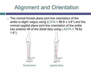Normal limb alignment | PPTX
