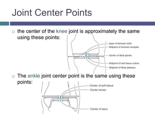 Normal limb alignment | PPTX